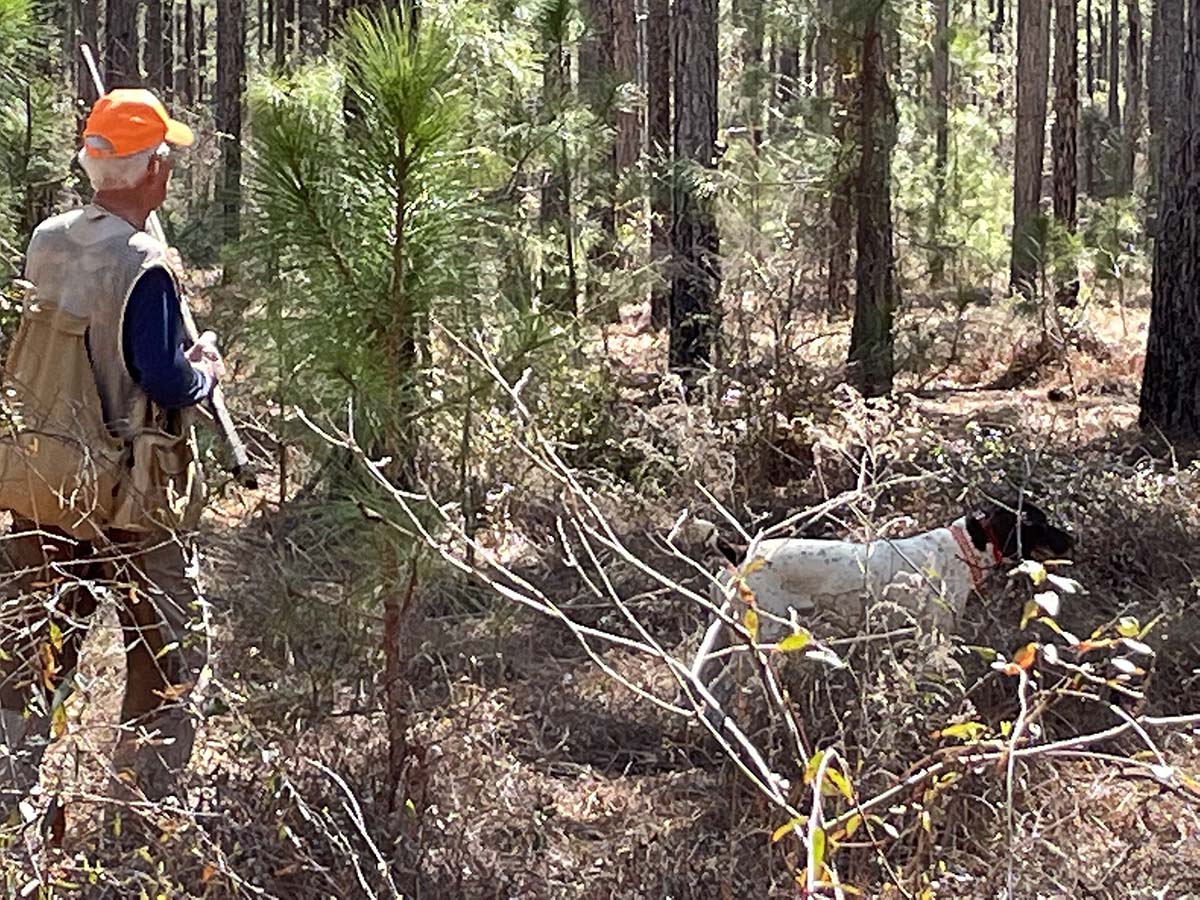 Best Pump-Action Shotguns For Hunting [Field Tested] - CARNIVORE Magazine