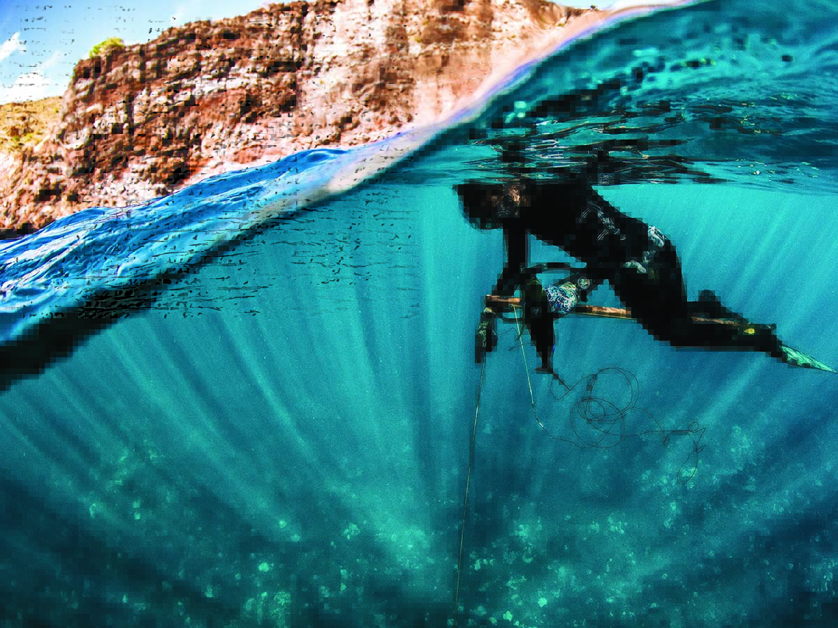 Spearfishing: Kimi Werner—Hunter, Conservationist And Budding Chef ...