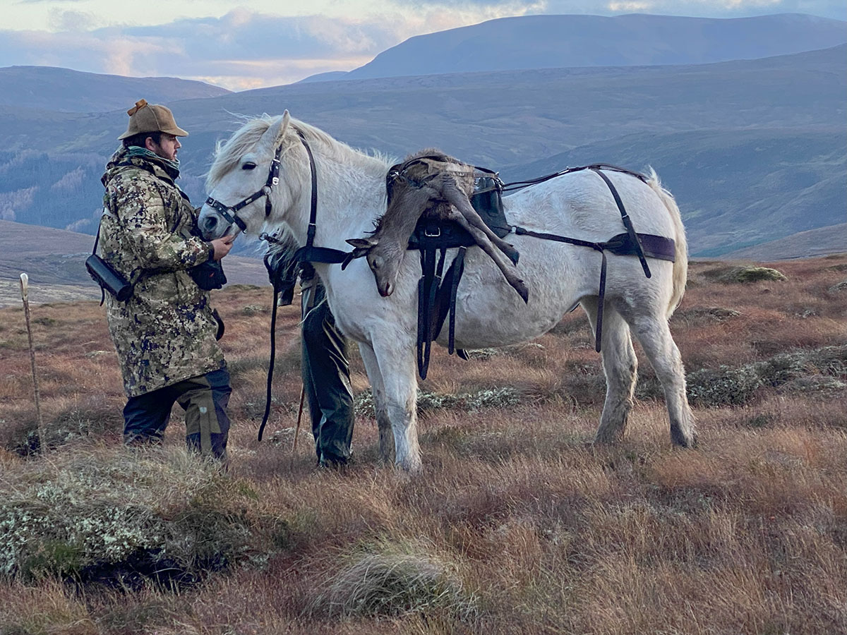 Red Deer Hunting In Scotland: Affordable Exclusivity - CARNIVORE Magazine