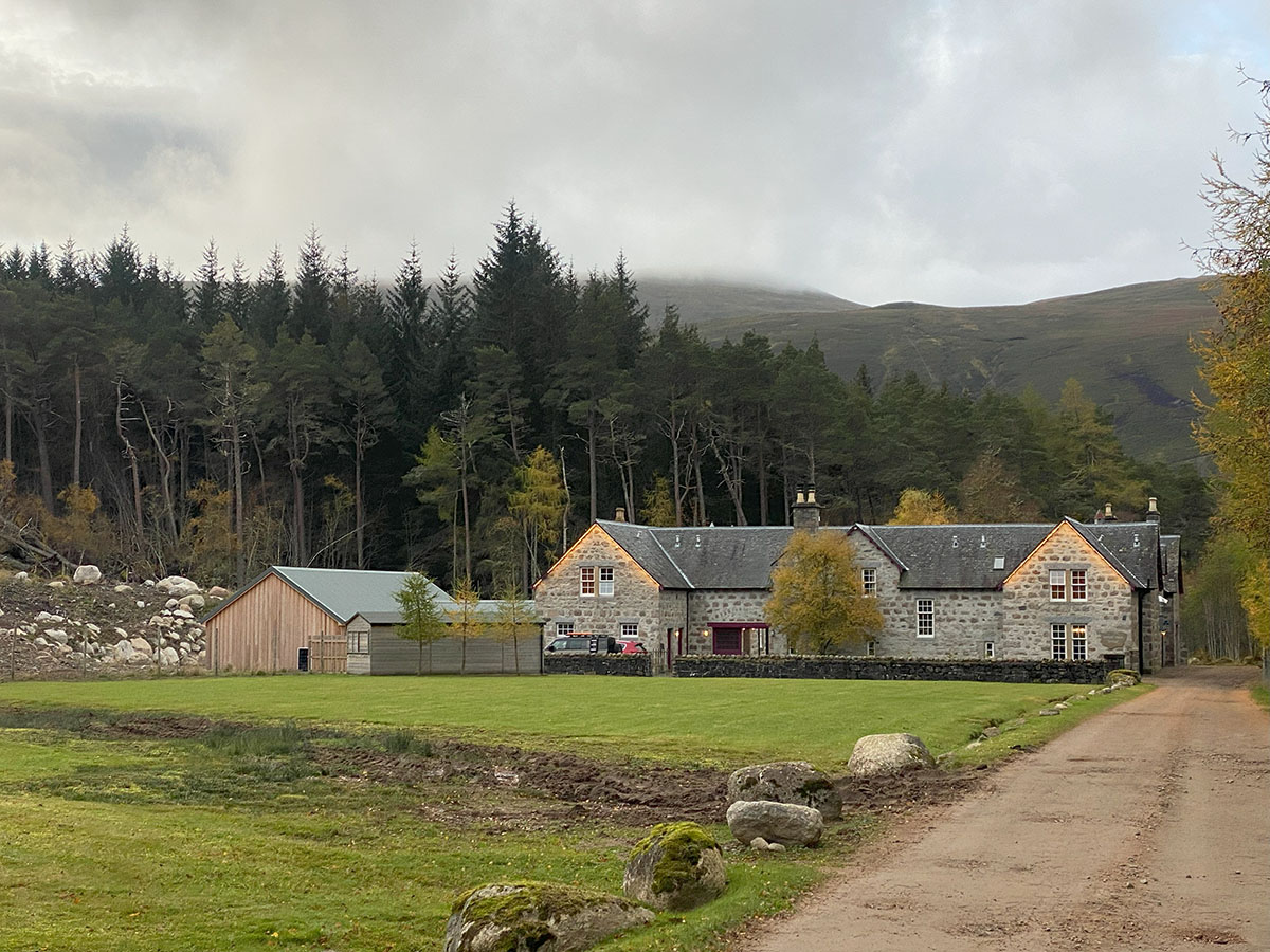 Red Deer Hunting In Scotland: Affordable Exclusivity - CARNIVORE Magazine