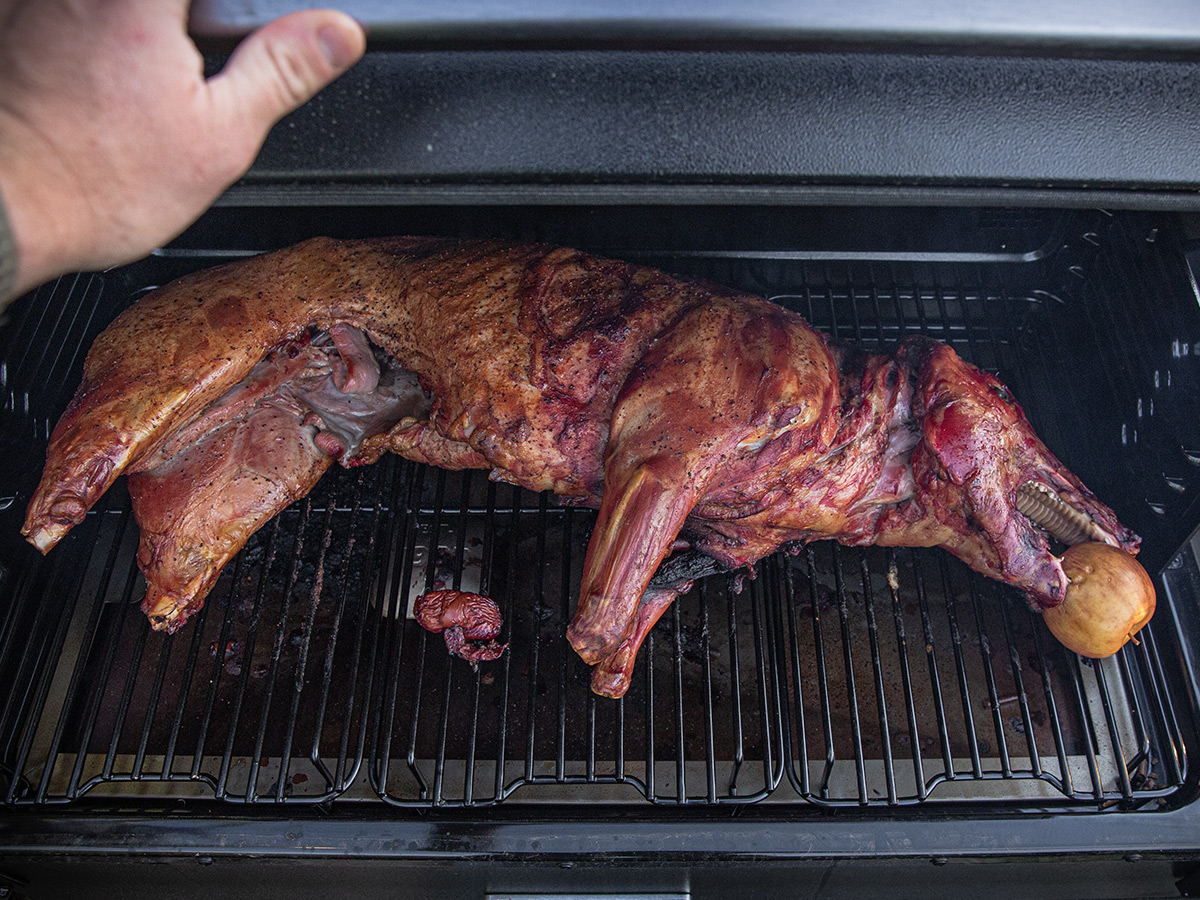 Recipe: Wild Piglet Luau - CARNIVORE Magazine