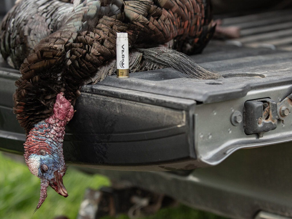 Best Turkey Hunting Gear - CARNIVORE Magazine